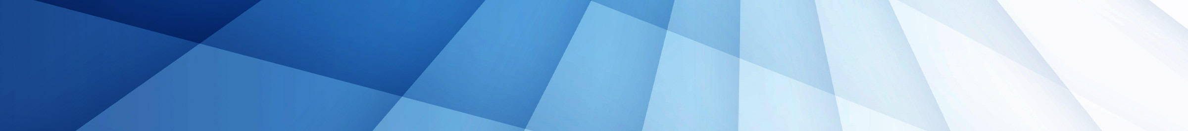 Bruce S. Rosen Obtains Anti-SLAPP Dismissal of Libel Action from Online ...